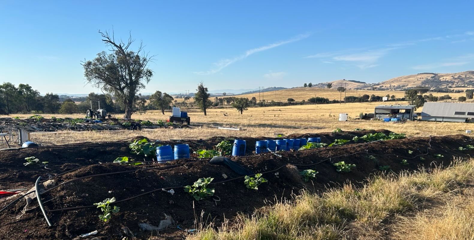 Yass Worm Farms